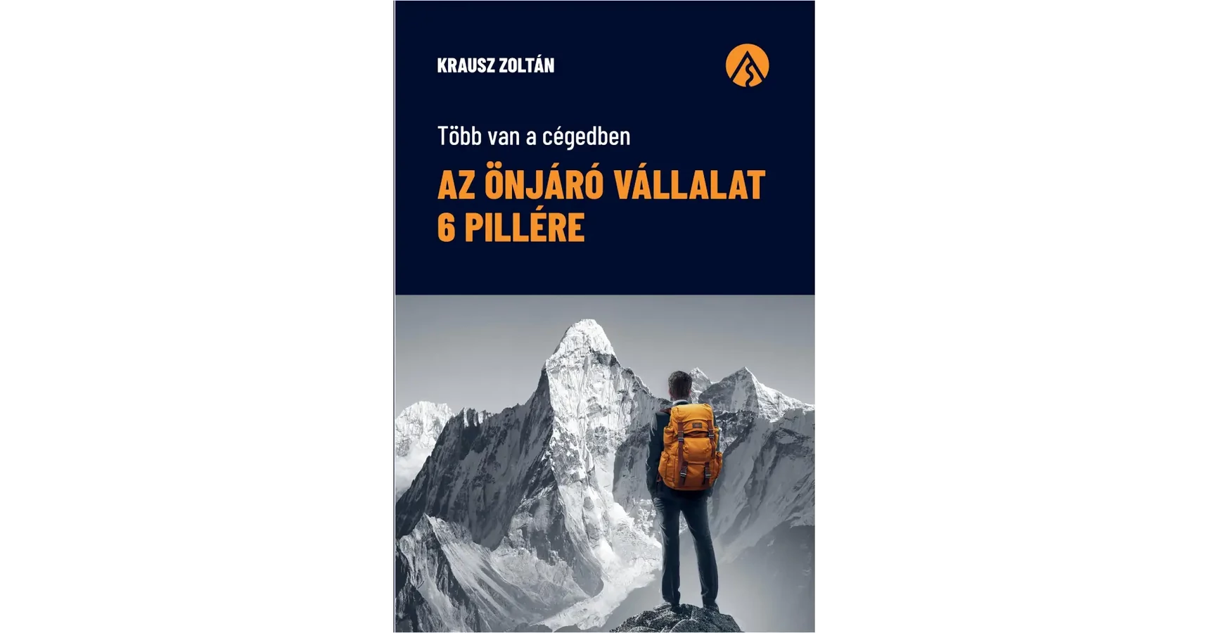 KÖNYV: Az önjáró vállalat 6 pillére - Több van a cégedben - Saldo Kiadó ...